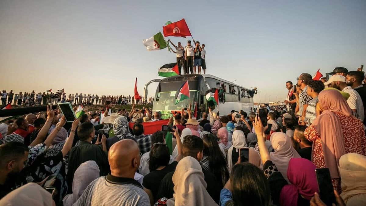 El gobierno egipcio continúa hostigando a los y las activistas de la ...